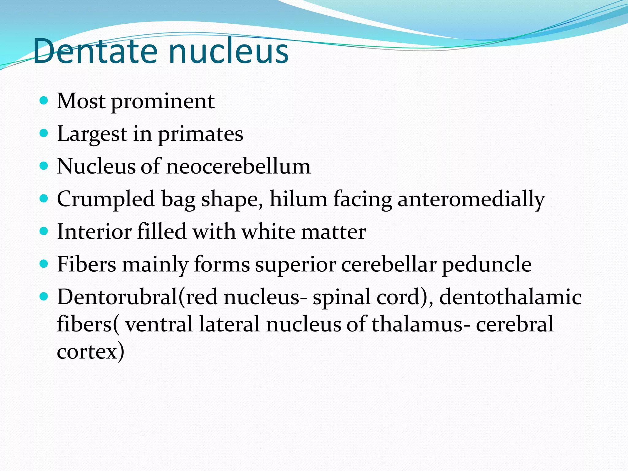 Cerebellum by dr.gourav thakre 20 03-2012 | PPTX