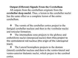 Cerebellum | PPTX