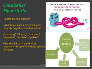 Cerebellum ppt | PPTX
