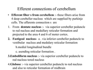 cerebellum final ppt.ppt