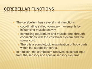 Cerebellum ibms | PPT