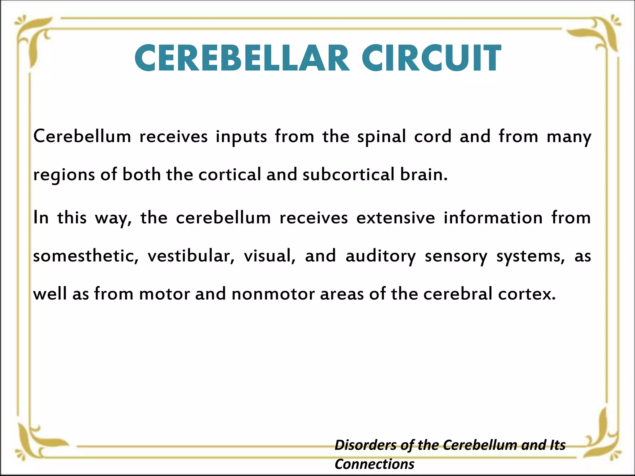 Cerebellum its function and releveance in psychiatry | PPTX