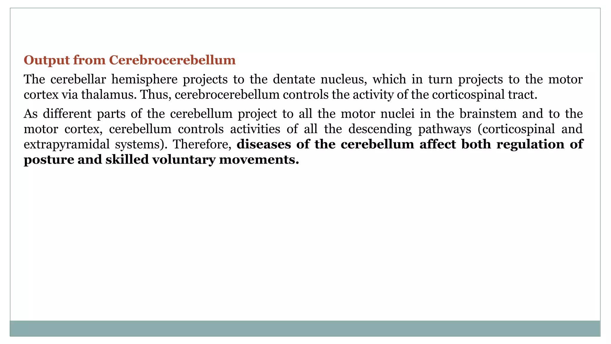 cerebellum MBBS.pptx