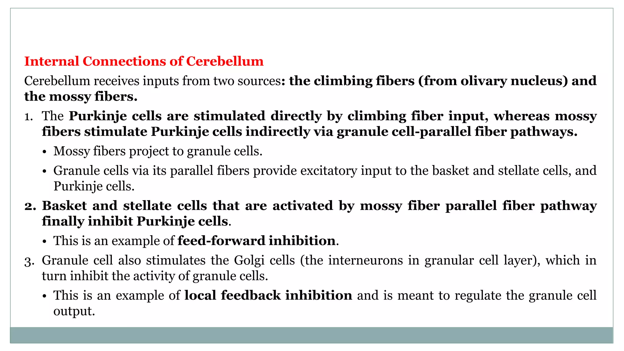 cerebellum MBBS.pptx