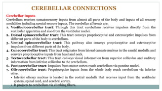 cerebellum MBBS.pptx