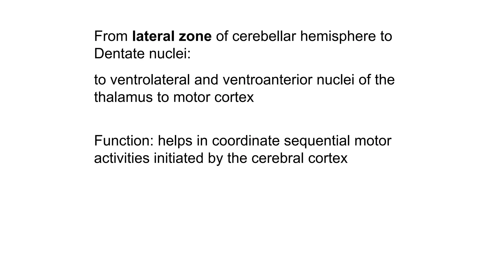 Cerebellum physiology | PPTX