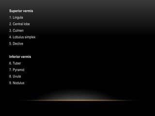 Cerebellum parts and functions | PPTX