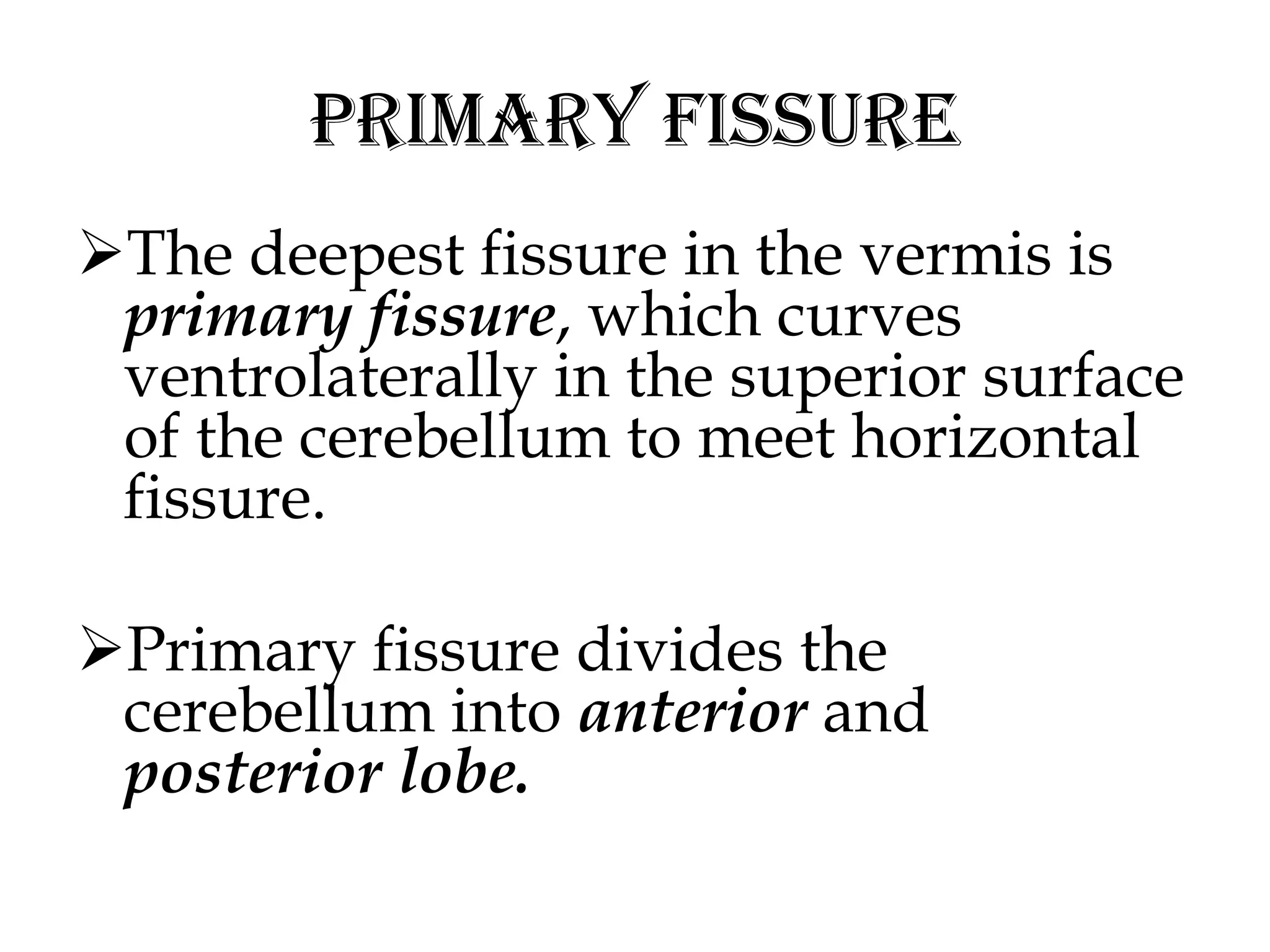 Anatomy of Cerebellum - Dr.Sajith MD RD | PPTX