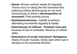 Cerebellum(Small brain how to work out brains).pdf