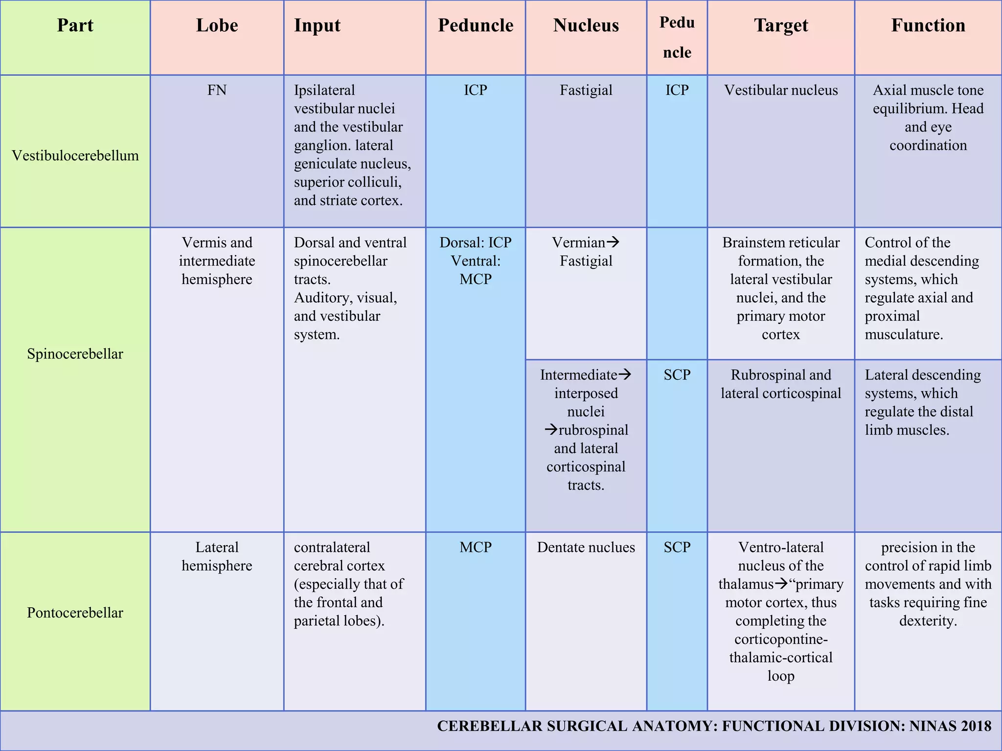 Cerebellum surgical anatomy | PPTX