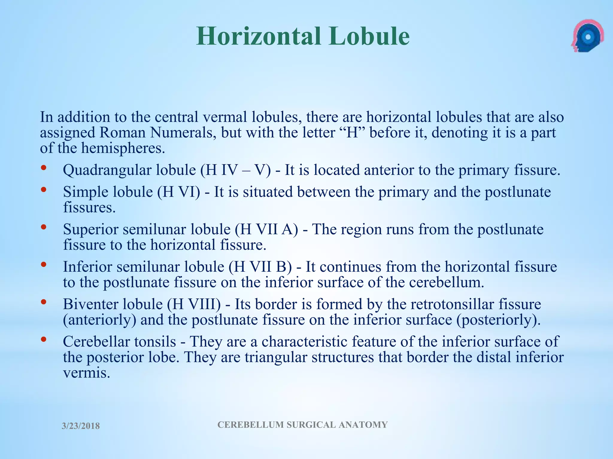 Cerebellum surgical anatomy | PPTX