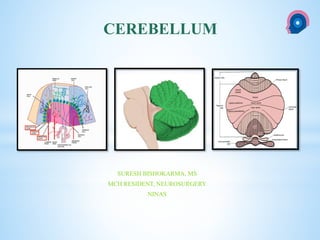 Cerebellum surgical anatomy | PPTX