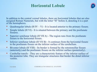 Cerebellum surgical anatomy | PPTX