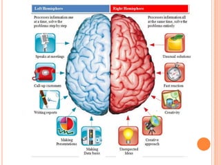 Cerebral cortex - physiology | PPTX