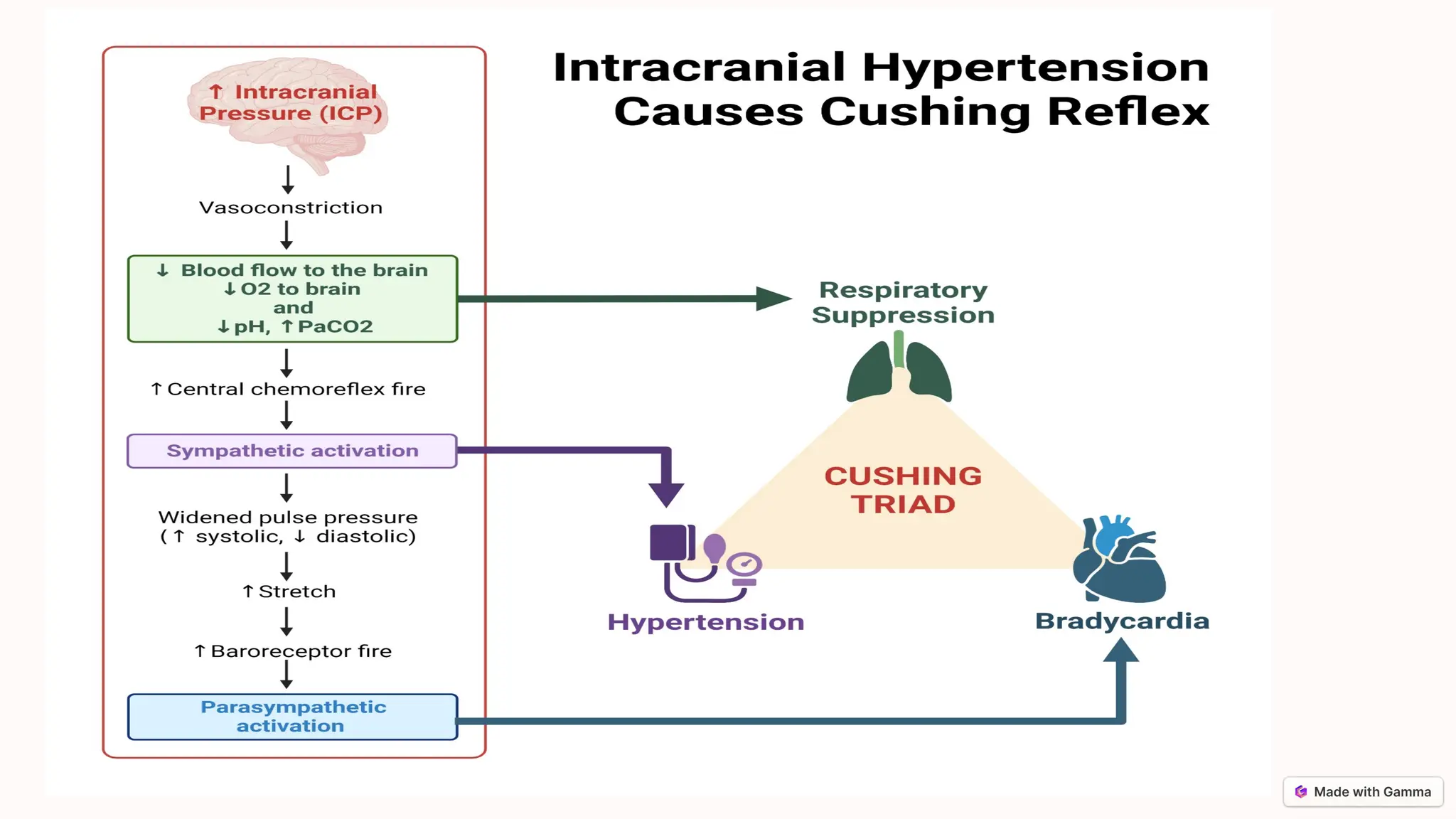 Cerebral-physiology-and-the-effects-of-Anesthetic-drugs (3).pptx