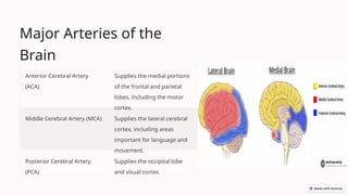 Cerebral-physiology-and-the-effects-of-Anesthetic-drugs (3).pptx