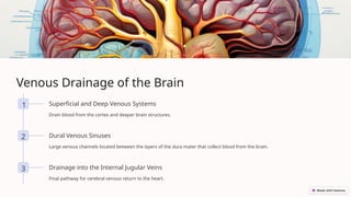 Cerebral-physiology-and-the-effects-of-Anesthetic-drugs (3).pptx