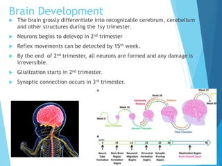 Cerebral Palsy for Undergraduate | PPTX