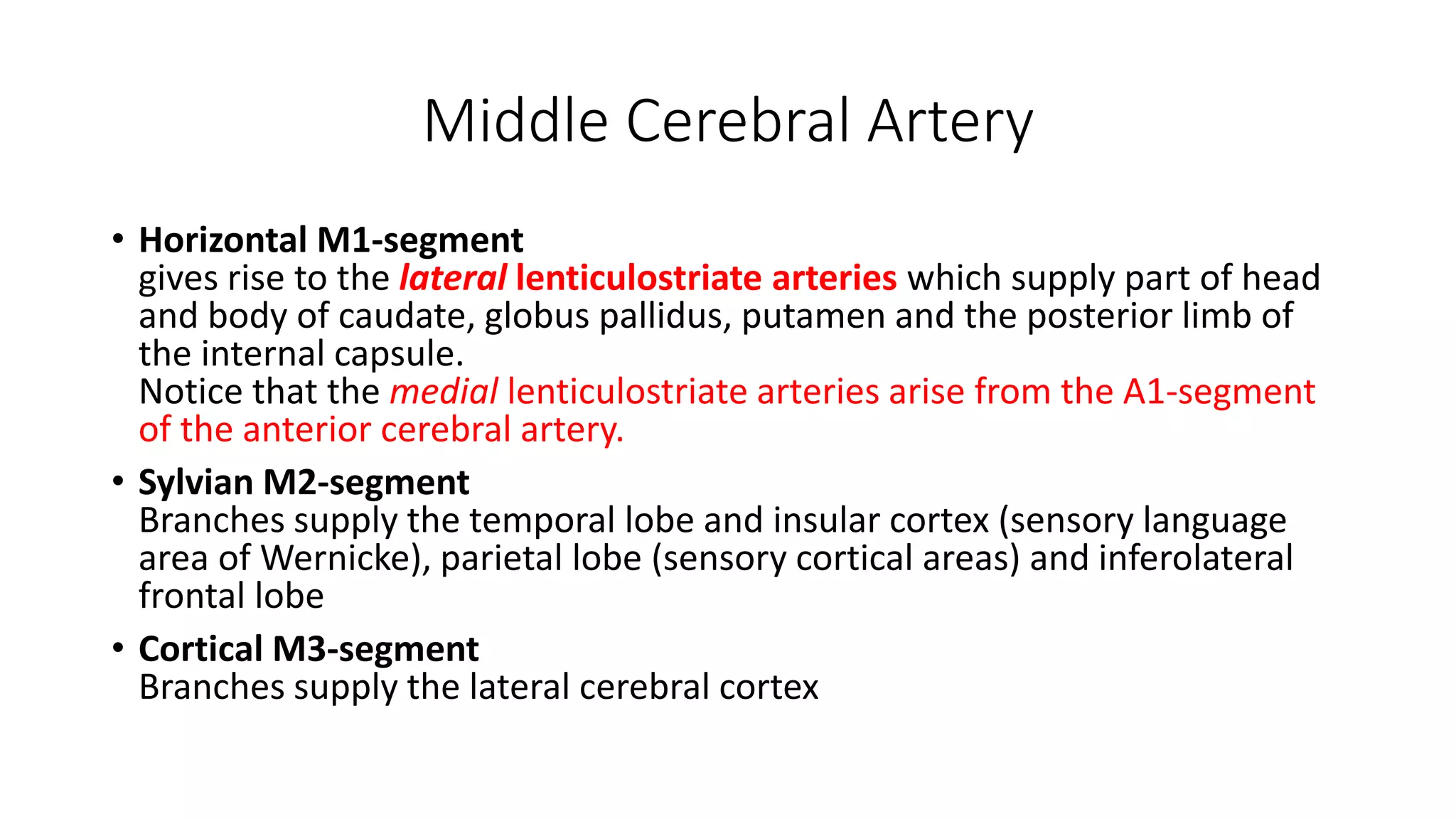 Cerebral aneurysm | PPTX