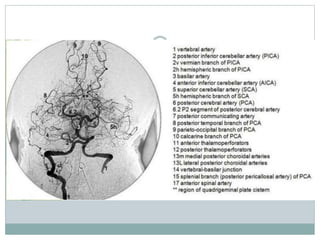 Cerebral angiography procedure | PPTX
