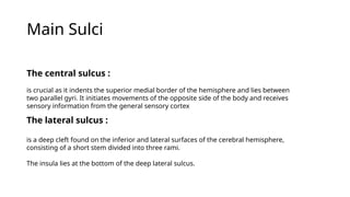 The cerebrum : external appearance and internalstructures.pptx