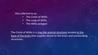 Cerebral arterial circle | PPTX