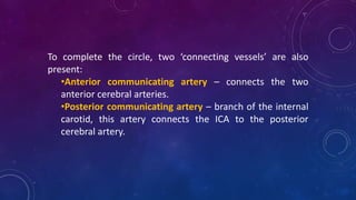 Cerebral arterial circle | PPT