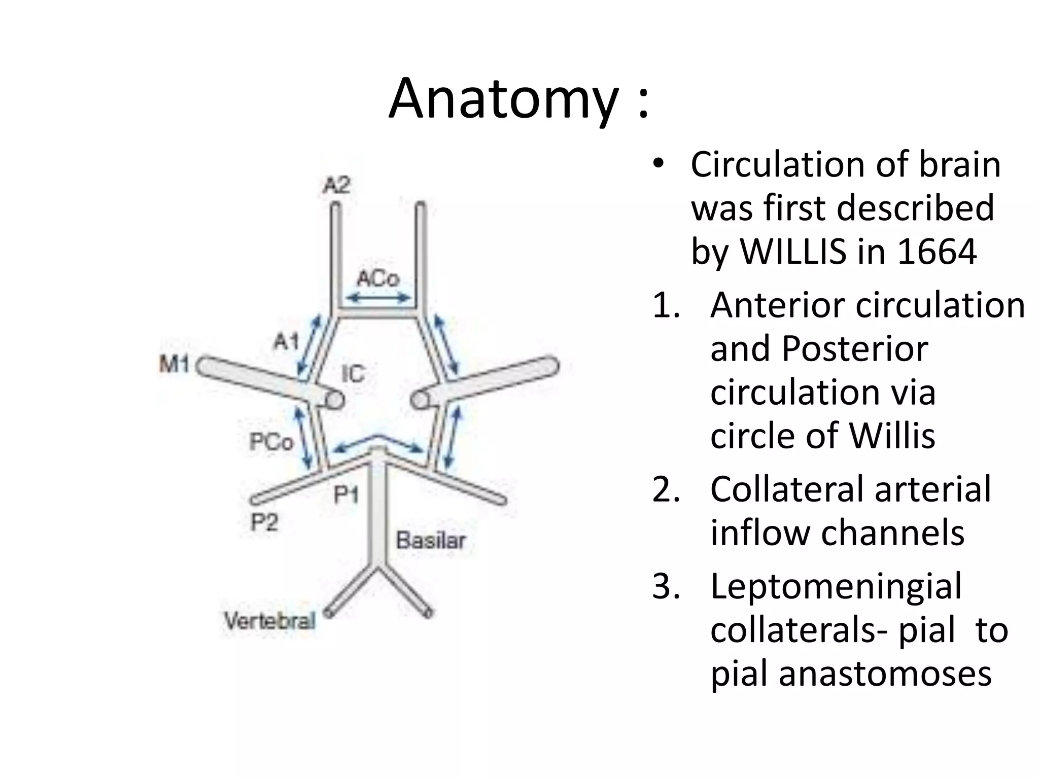 Cerebral blood flow | PPTX