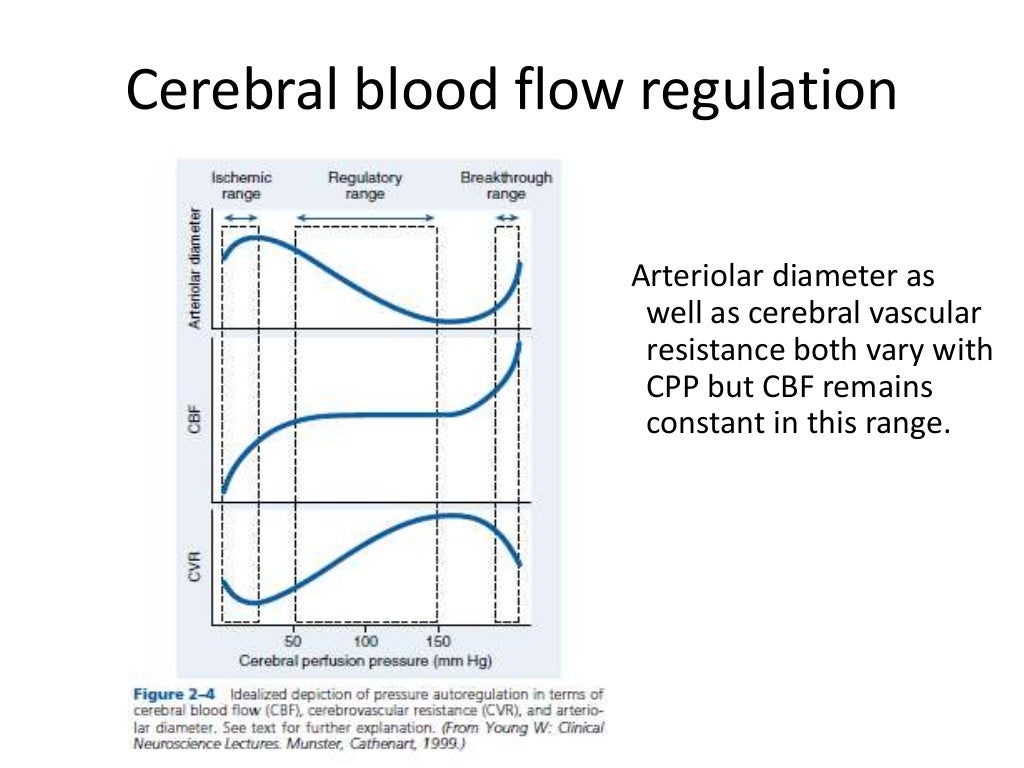 Cerebral blood flow