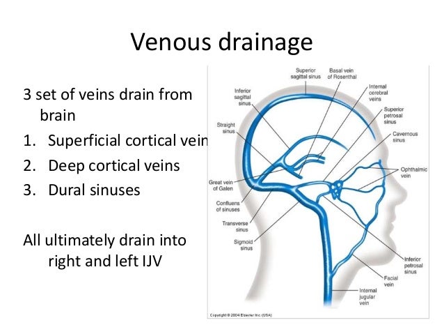 Cerebral blood flow