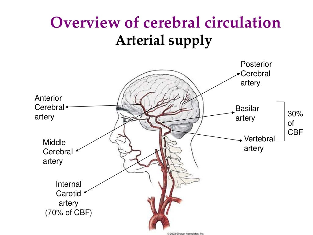 Cerebral blood flow