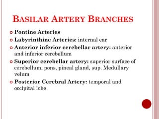Cerebral blood flow | PDF