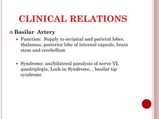 Cerebral blood flow | PDF