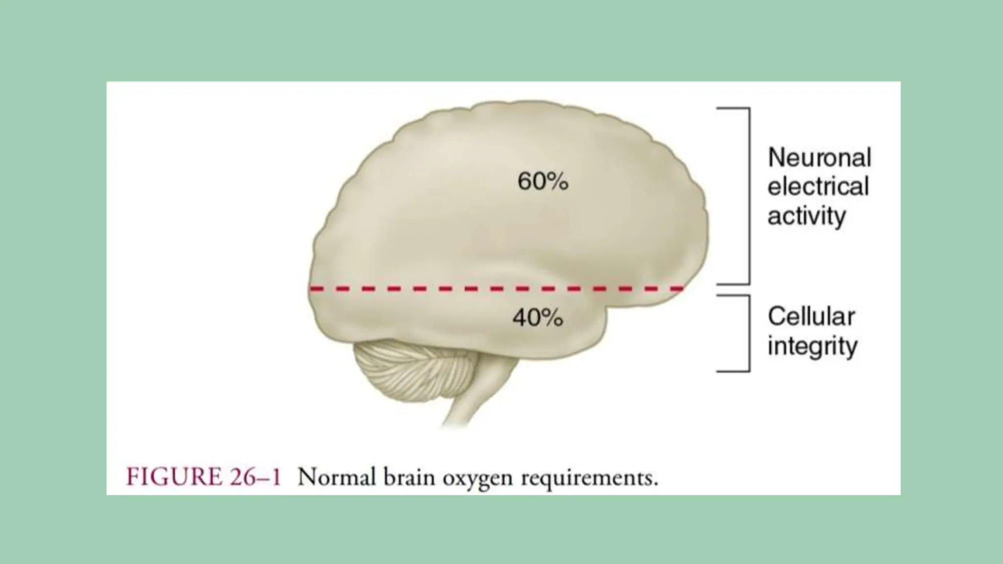 Cerebral blood flow anatomy & physio.pptx