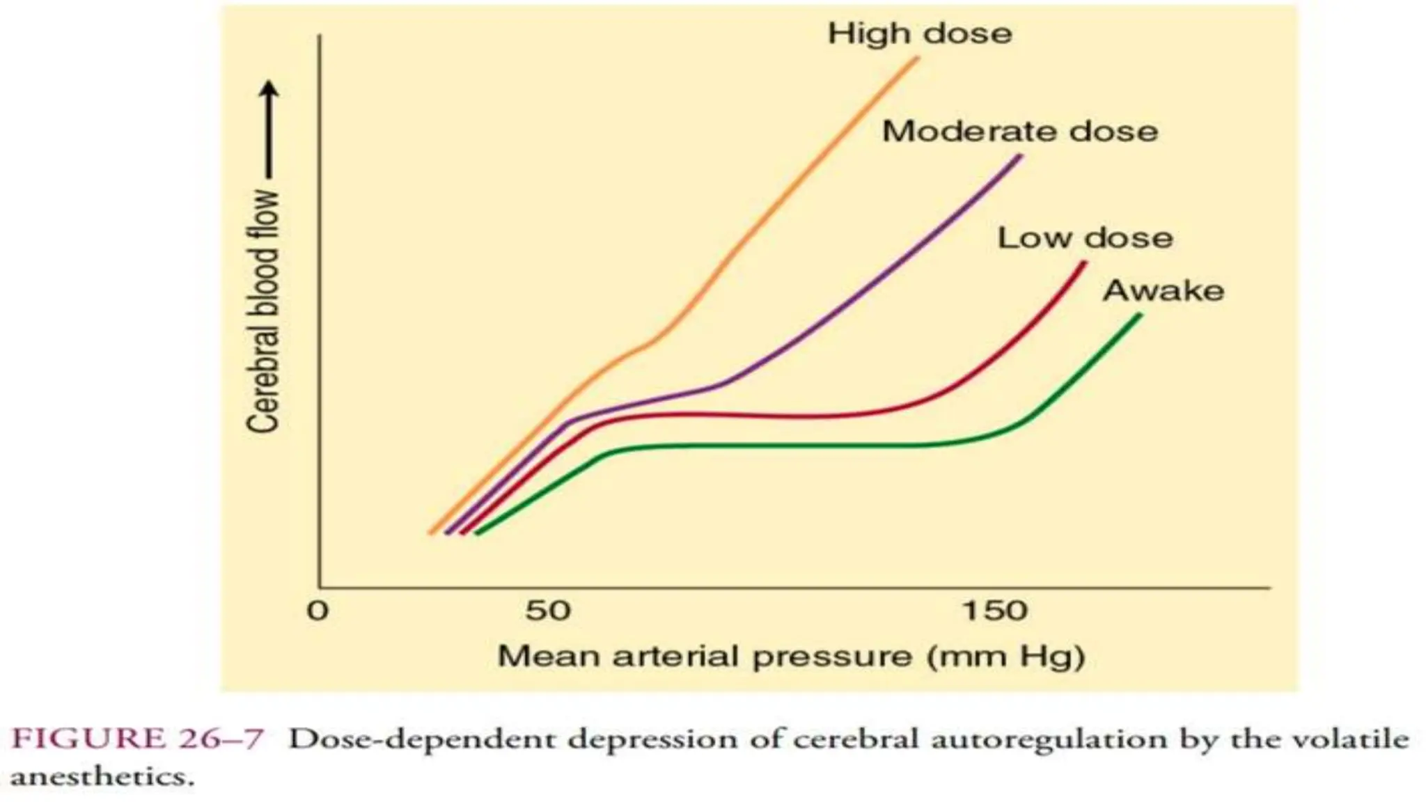Cerebral blood flow anatomy & physio.pptx