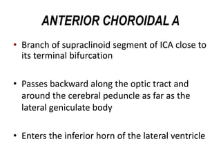 Cerebral blood flow -Varun | PPTX
