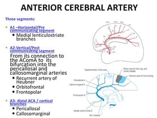 Cerebral blood flow -Varun | PPTX