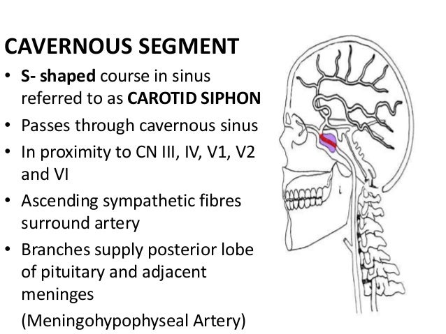 Cerebral blood flow -Varun