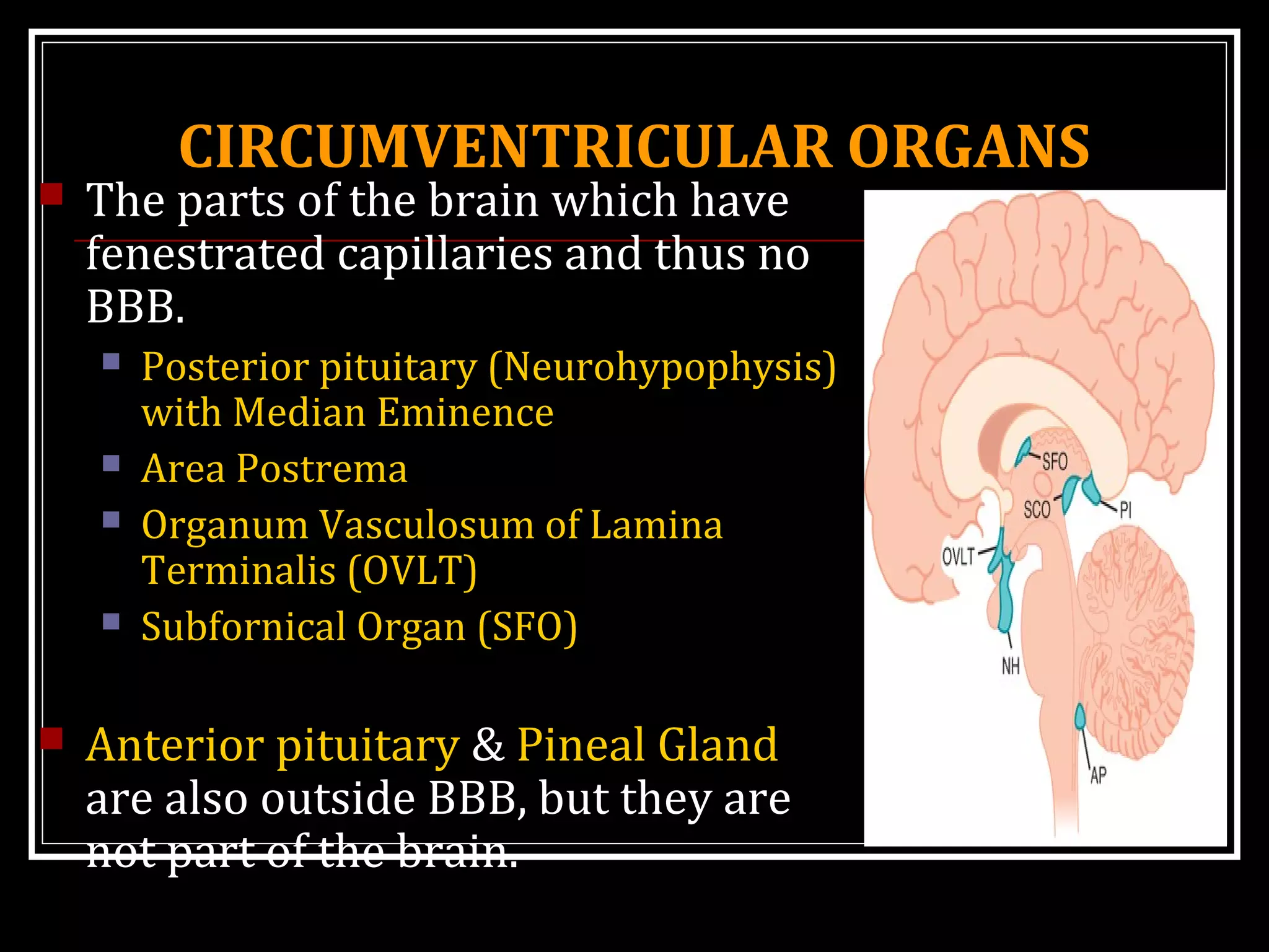 Cerebral circulation | PPT