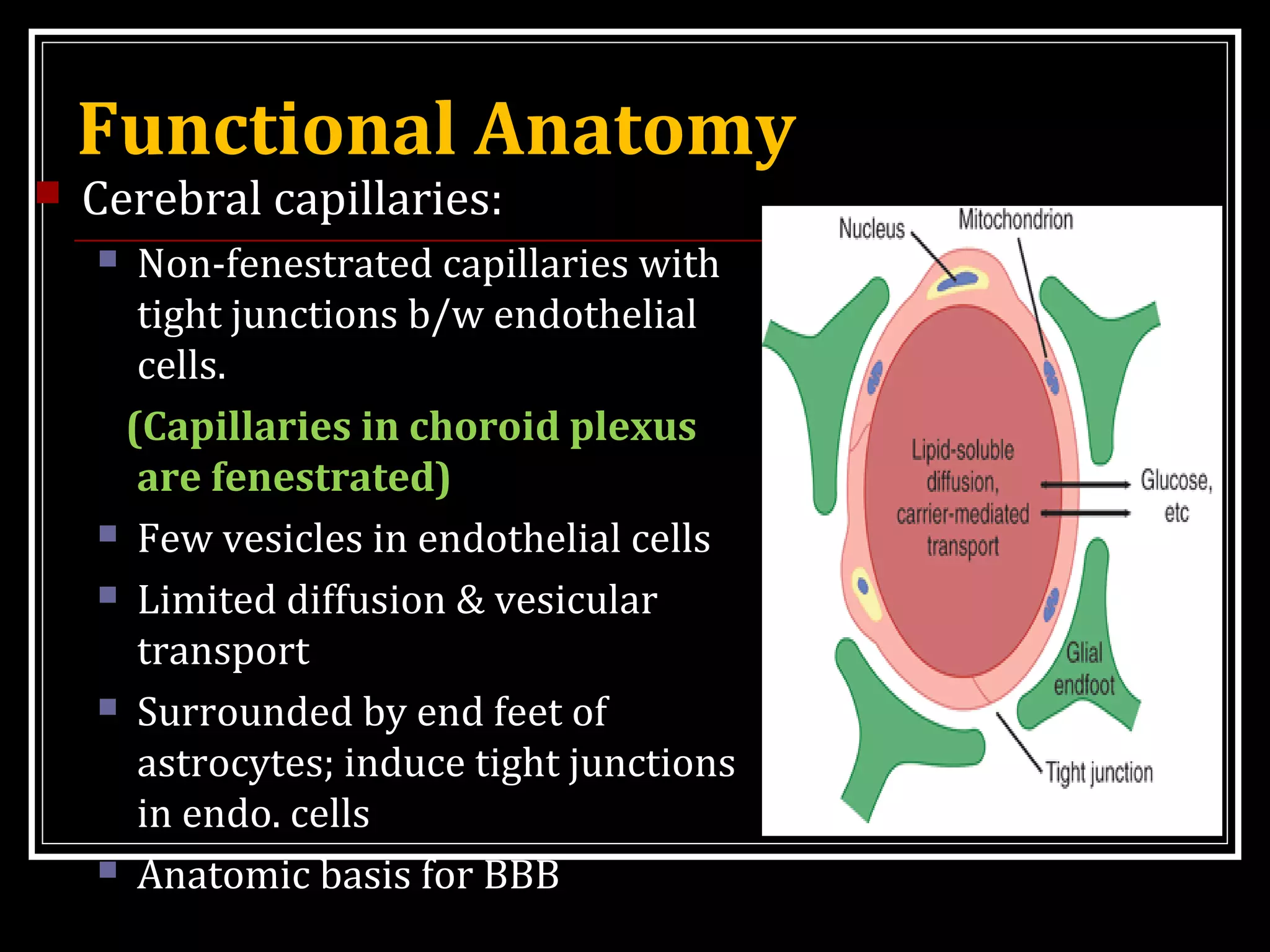 Cerebral circulation | PPT