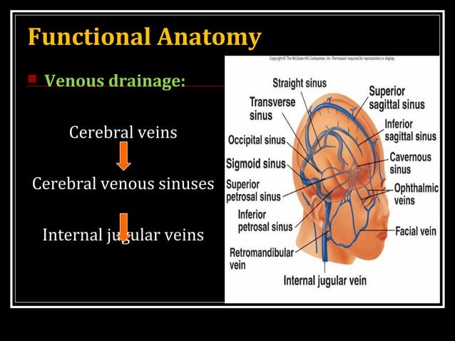 Cerebral circulation | PPT