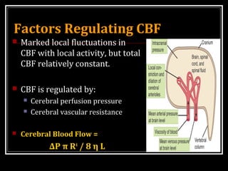 Cerebral circulation | PPT