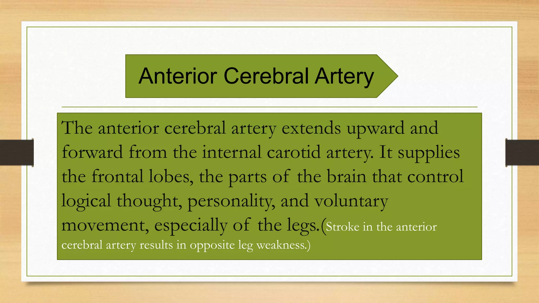 Cerebral circulation | PPTX