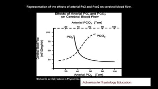 Cerebral circulation | PPTX