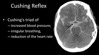 Cerebral circulation | PPTX
