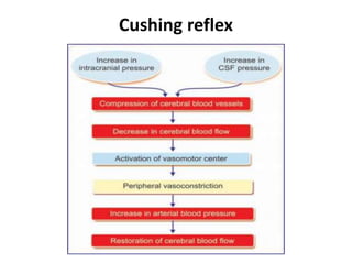 Cerebral circulation | PPTX
