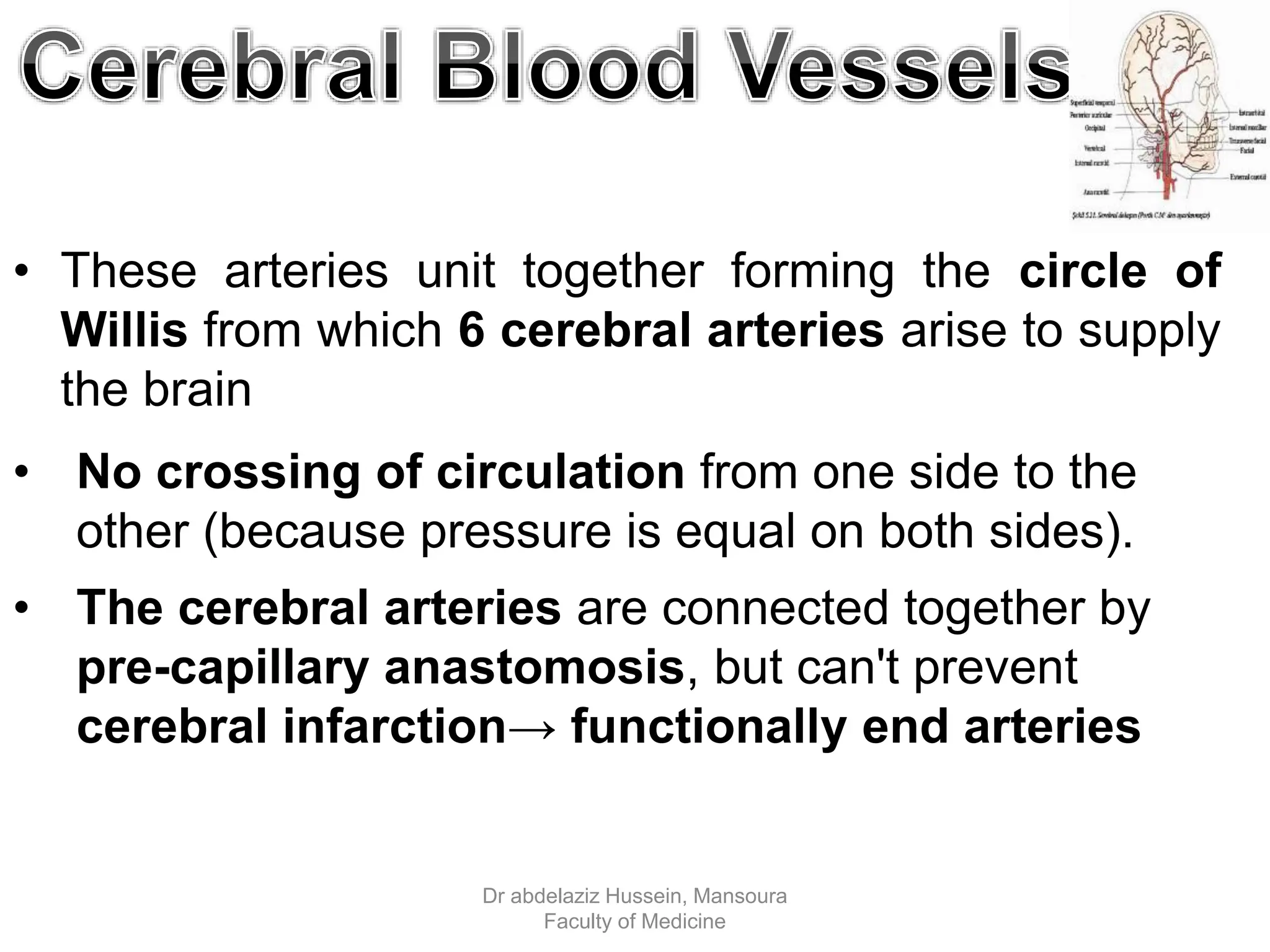 Physiology Of Cerebral Circulation In Human Ppt