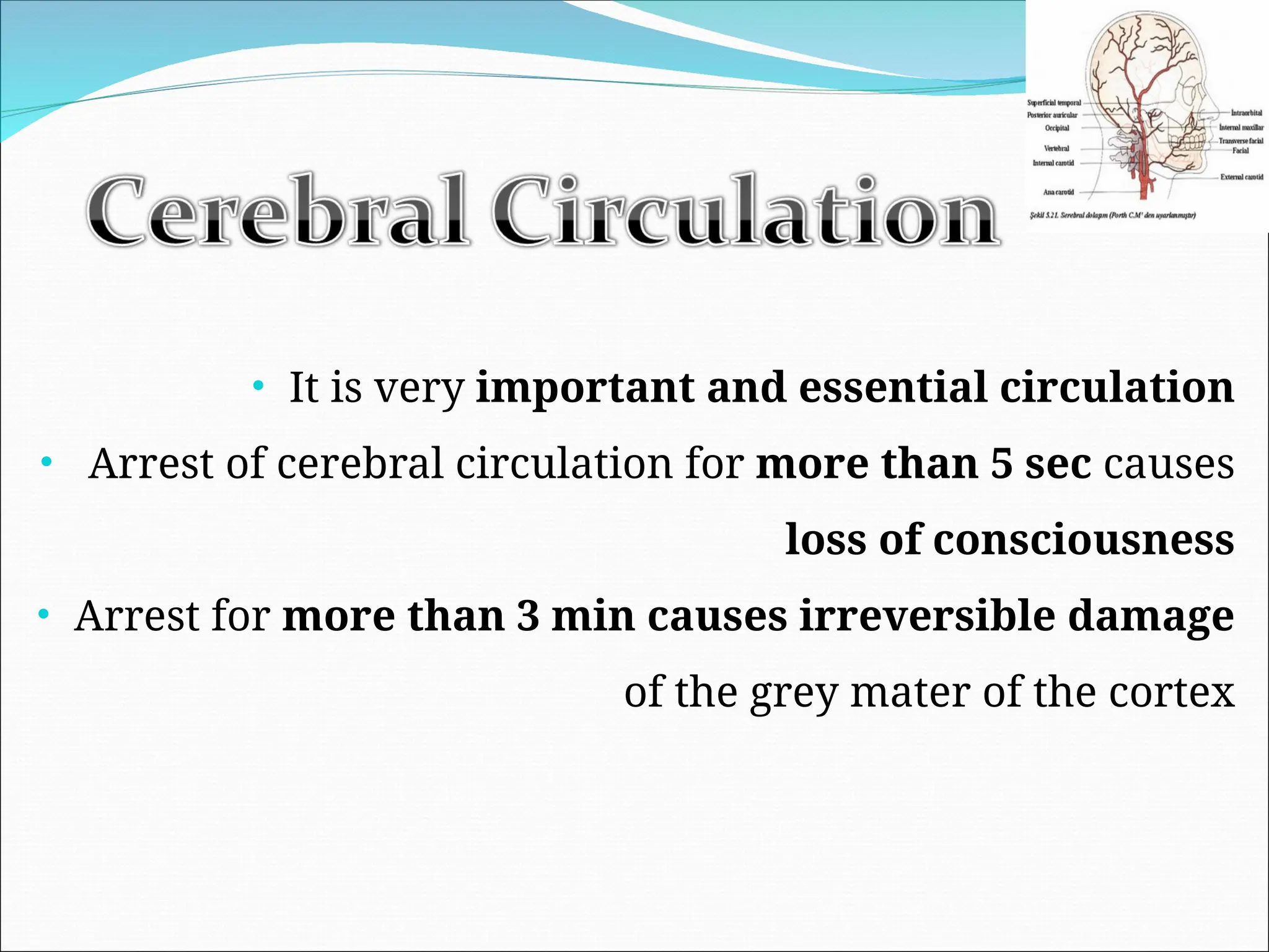 cerebral circulation : Blood Circulation of Brain.ppt