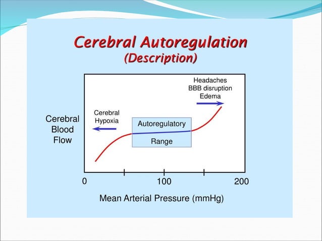 cerebral circulation : Blood Circulation of Brain.ppt