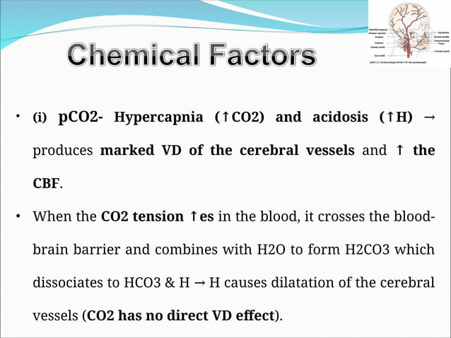 cerebral circulation : Blood Circulation of Brain.ppt